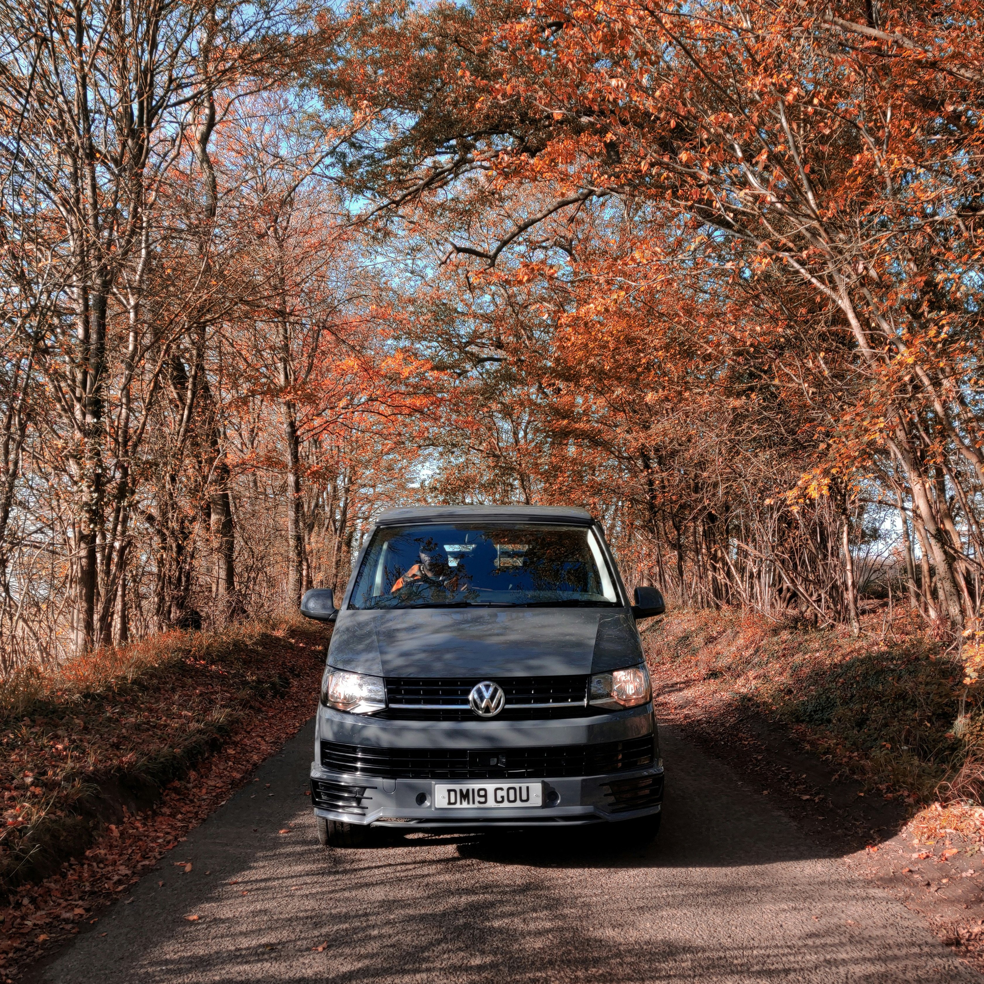 Van Leasing 101: Understanding Your Options and What's Best for You ...